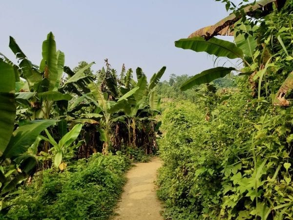 Sajek Valley Travel Guide: Bangladesh's Most Spectacular Hill Retreat ...