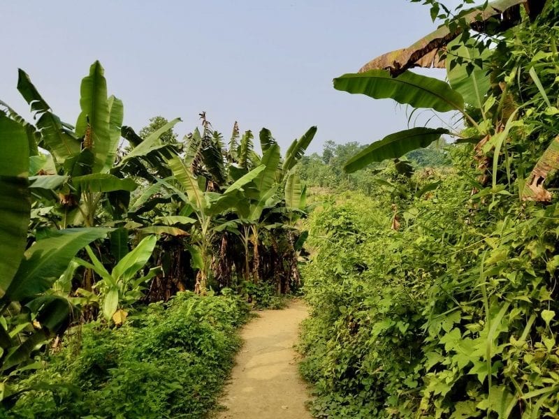 Sajek Valley Travel Guide: Bangladesh's Most Spectacular Hill Retreat ...