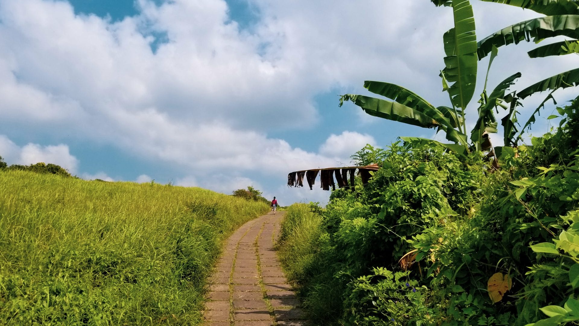 25 Best Things to Do in Ubud, Bali (2026 Guide with Tips & Tickets) - A ...